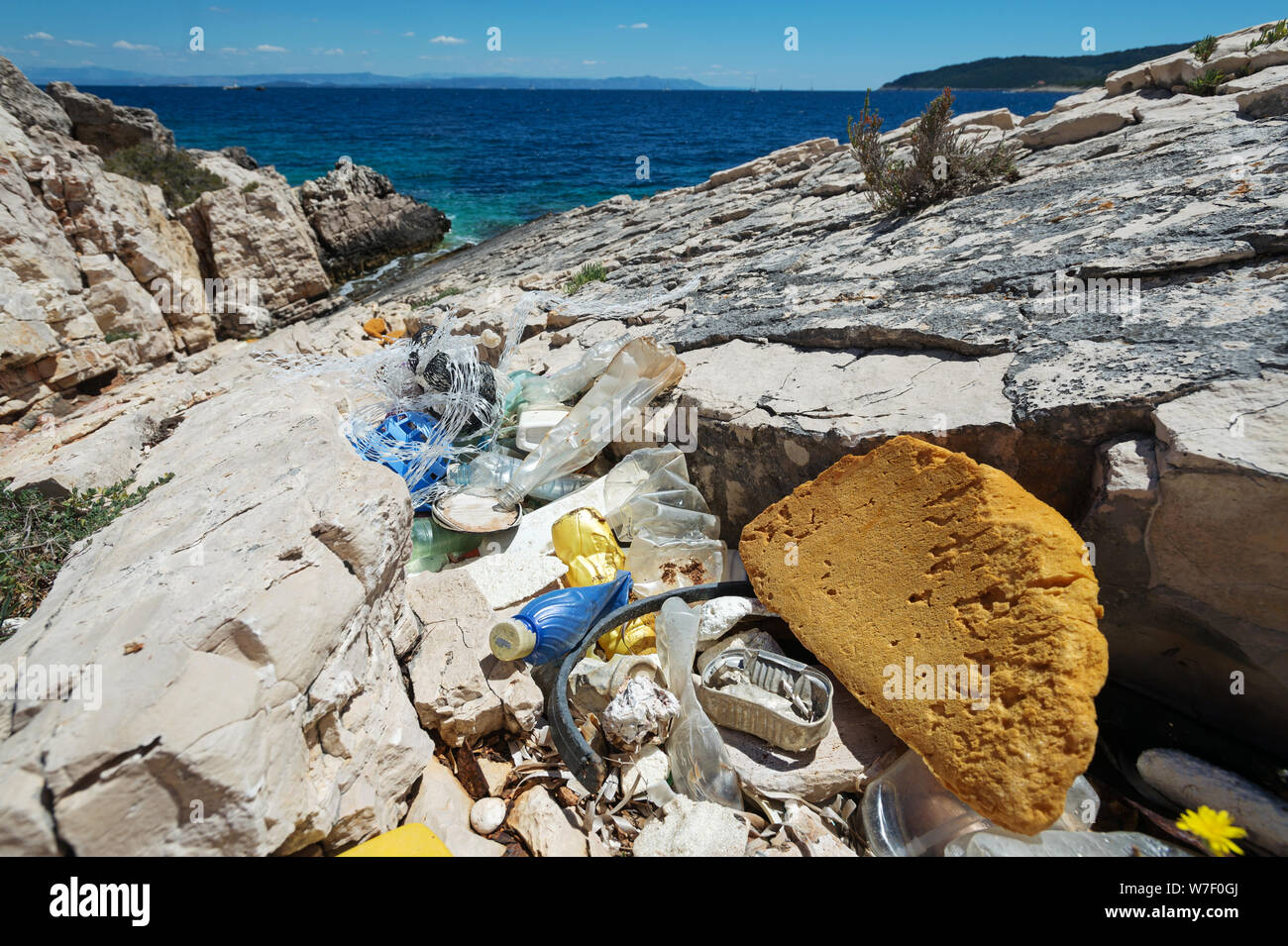 Marine debris accumulates heavily along seashores. Plastic bottles and ...