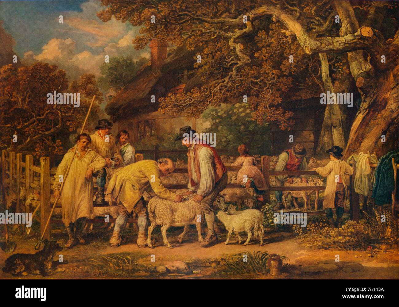 Sheep shearing 19th century hi-res stock photography and images - Alamy