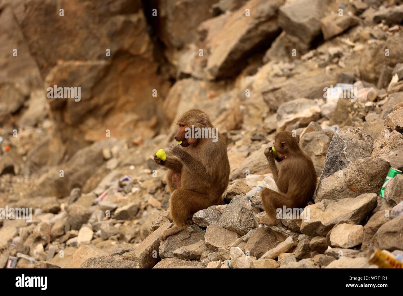 Mount hira cave hi-res stock photography and images - Alamy