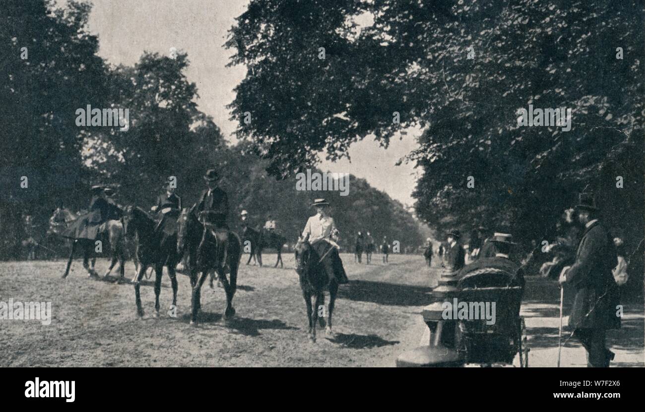 Rotten row hyde park hi-res stock photography and images - Alamy
