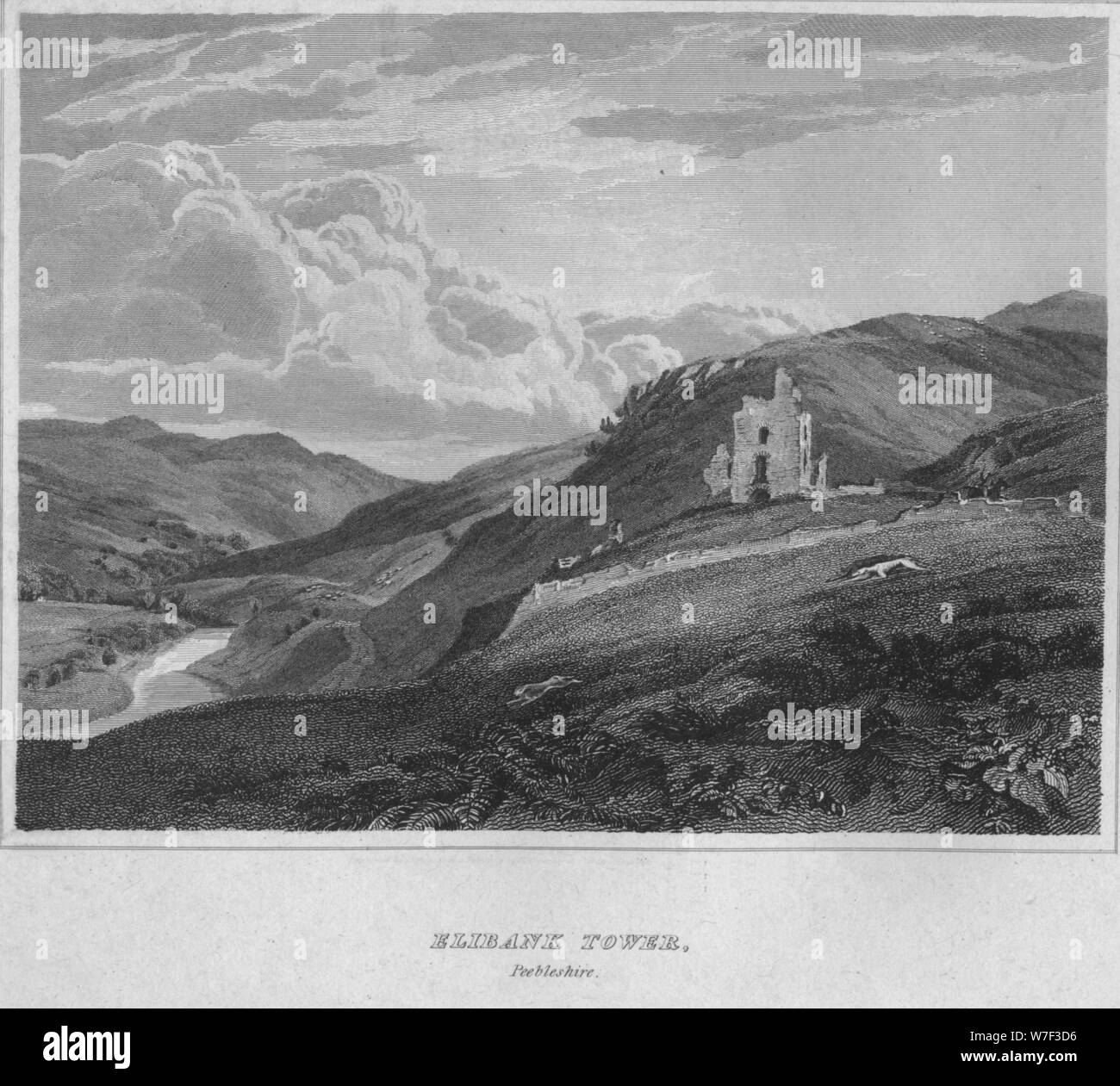 Elibank tower hi-res stock photography and images - Alamy