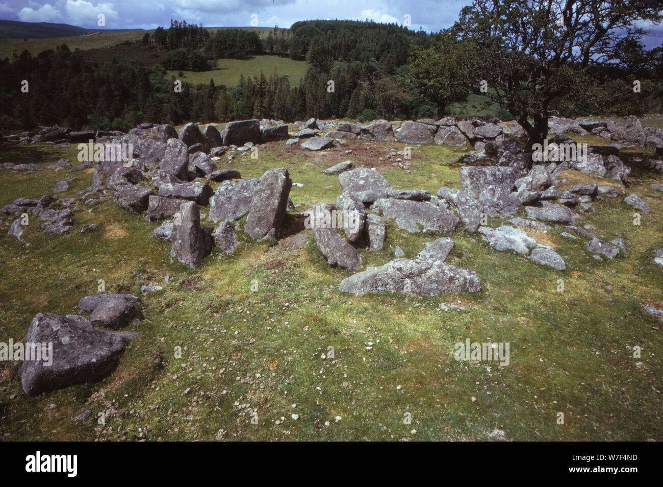 Devon artist hi-res stock photography and images - Alamy