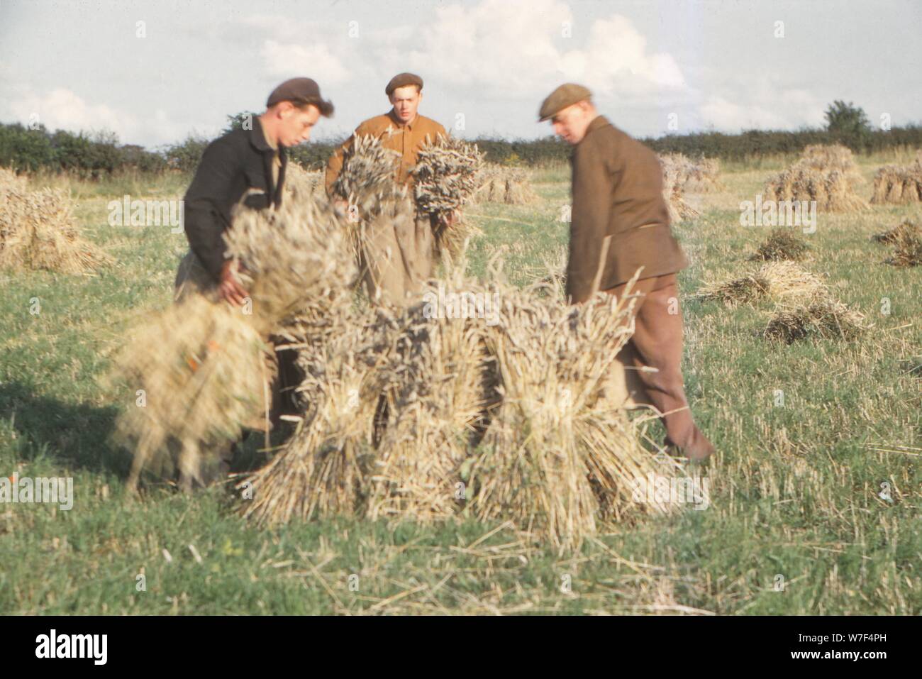 1960s farming hi-res stock photography and images - Alamy