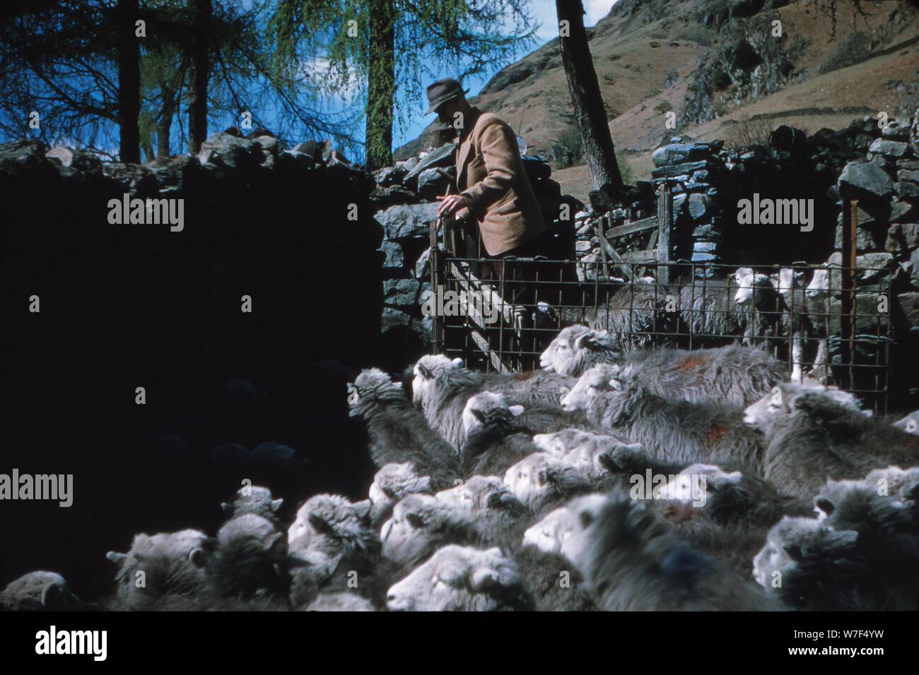 1960s farming hi-res stock photography and images - Alamy