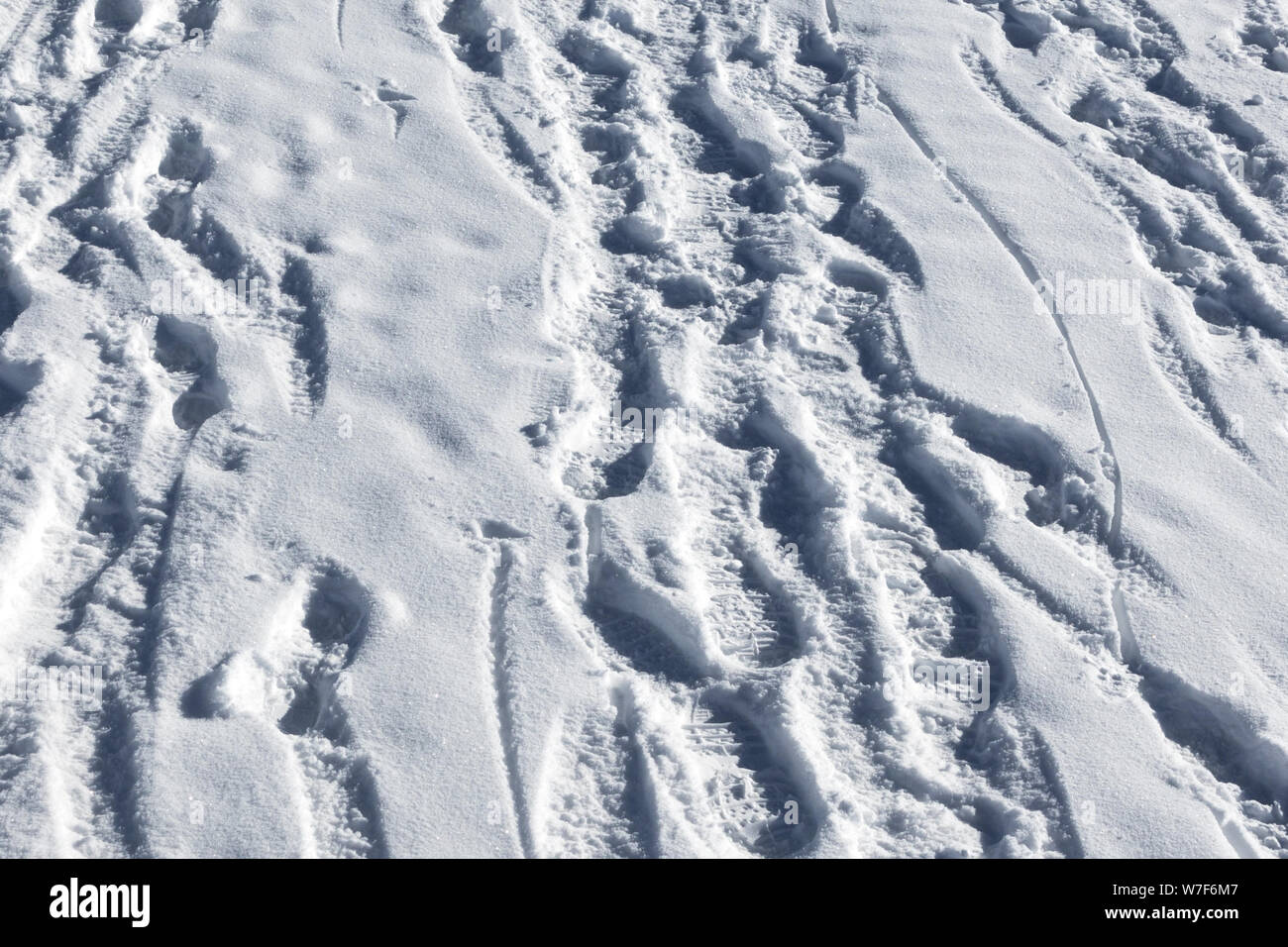 Close up view footprints hi-res stock photography and images - Alamy