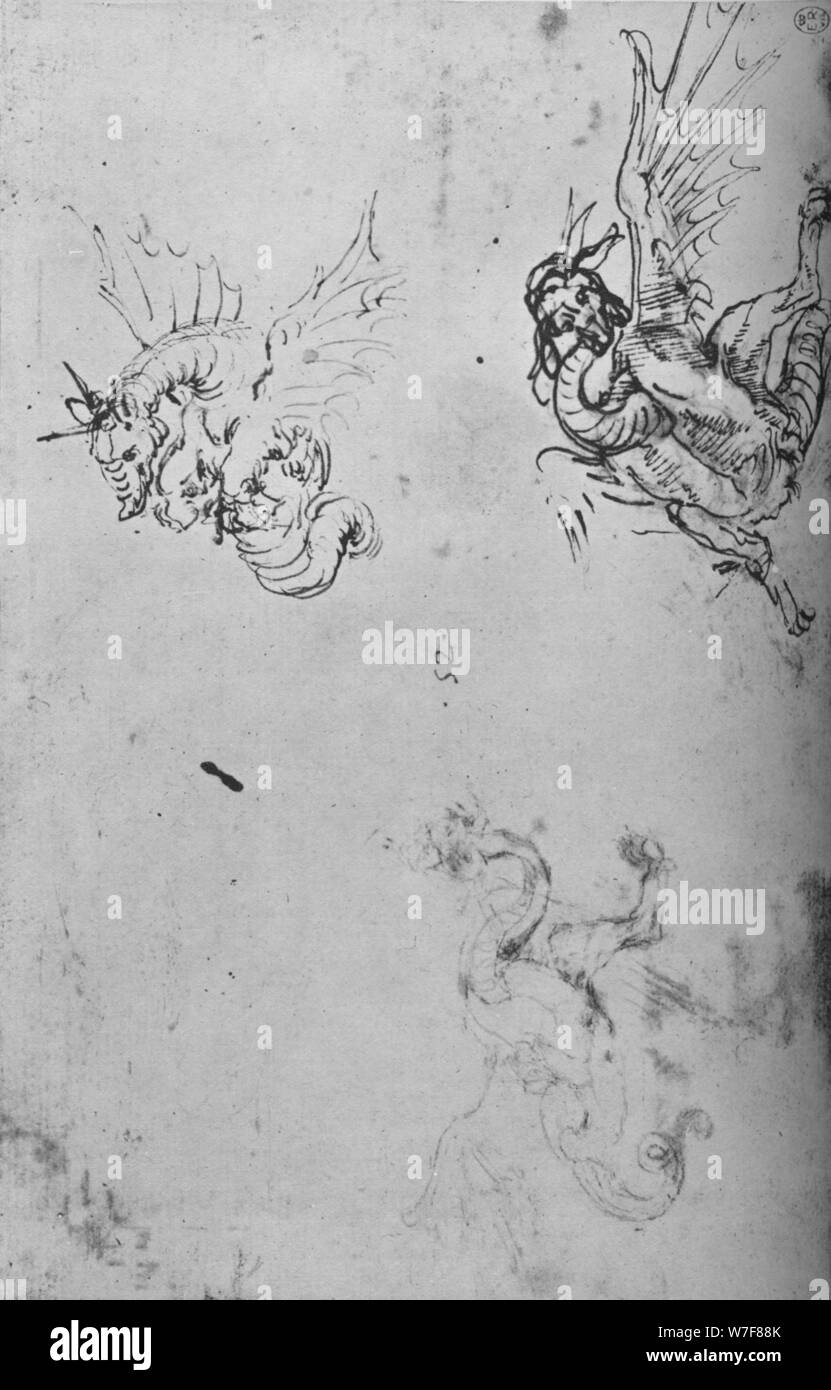 'Studies of a Dragon', c1480 (1945). Artist: Leonardo da Vinci Stock ...