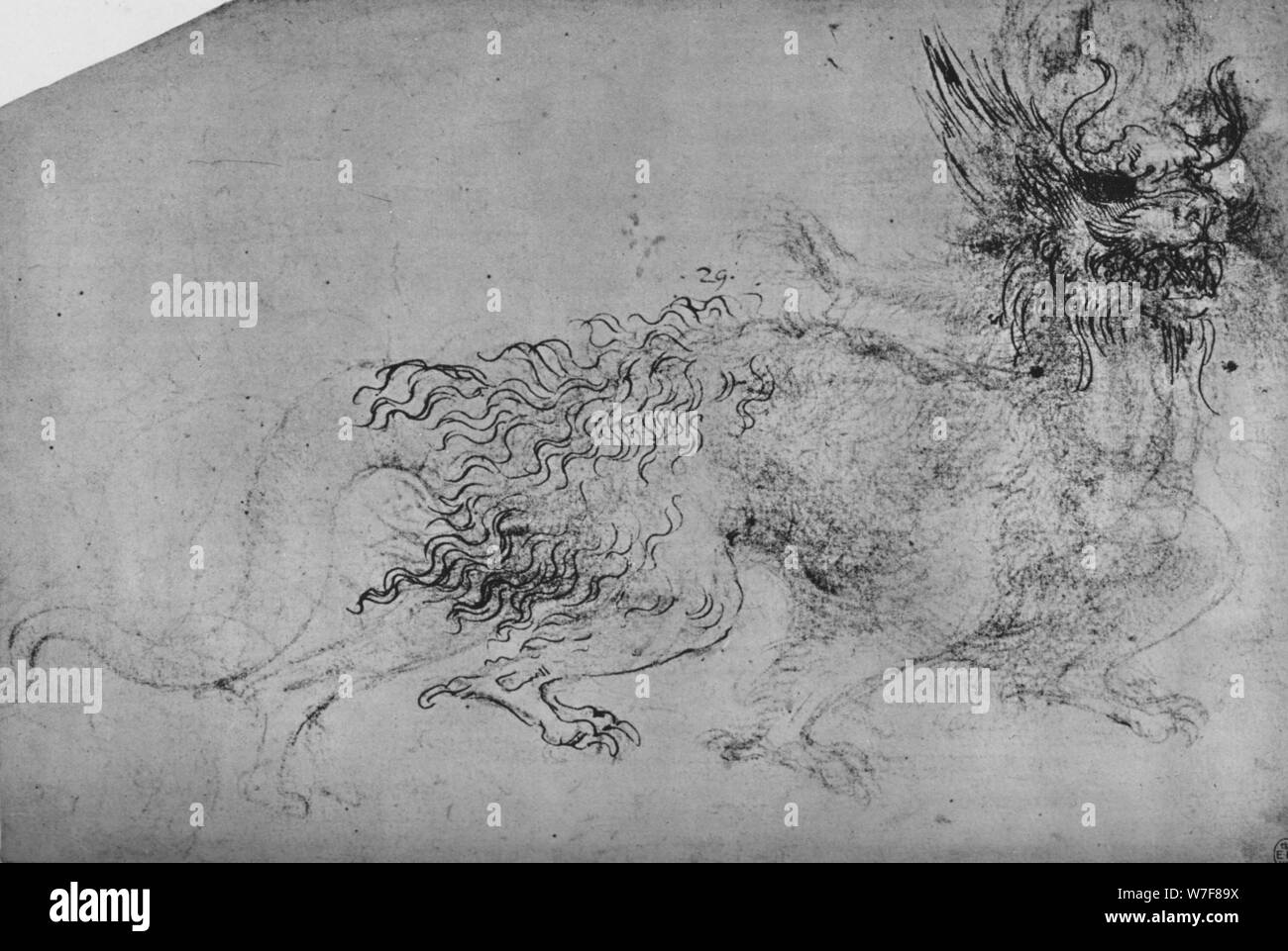 'A Dragon', c1480 (1945). Artist: Leonardo da Vinci Stock Photo - Alamy