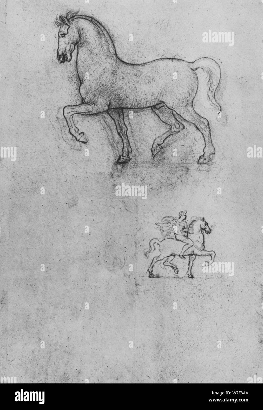 'Studies of a Horse and one of a Horse and Rider', c1480 (1945). Artist ...