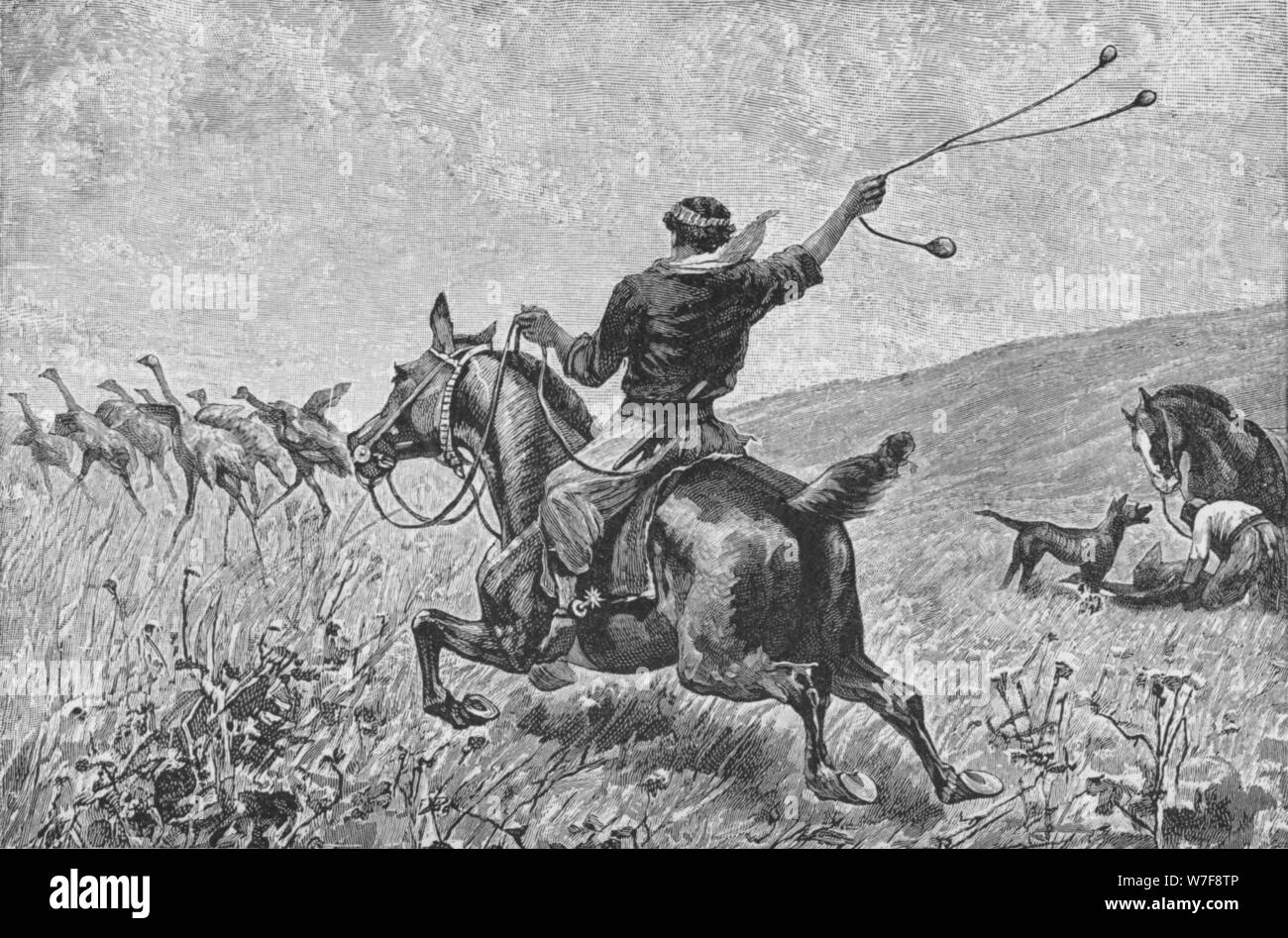 'Throwing The Bolas', c1885, (1890). Artist: Robert Taylor Pritchett ...