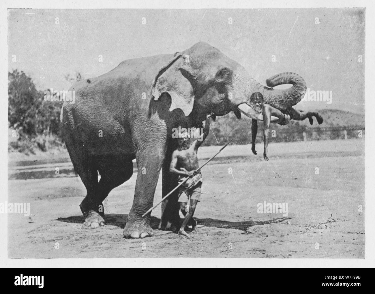 'Maligawa Elephant and Mahouts', c1890, (1910). Artist: Alfred William ...