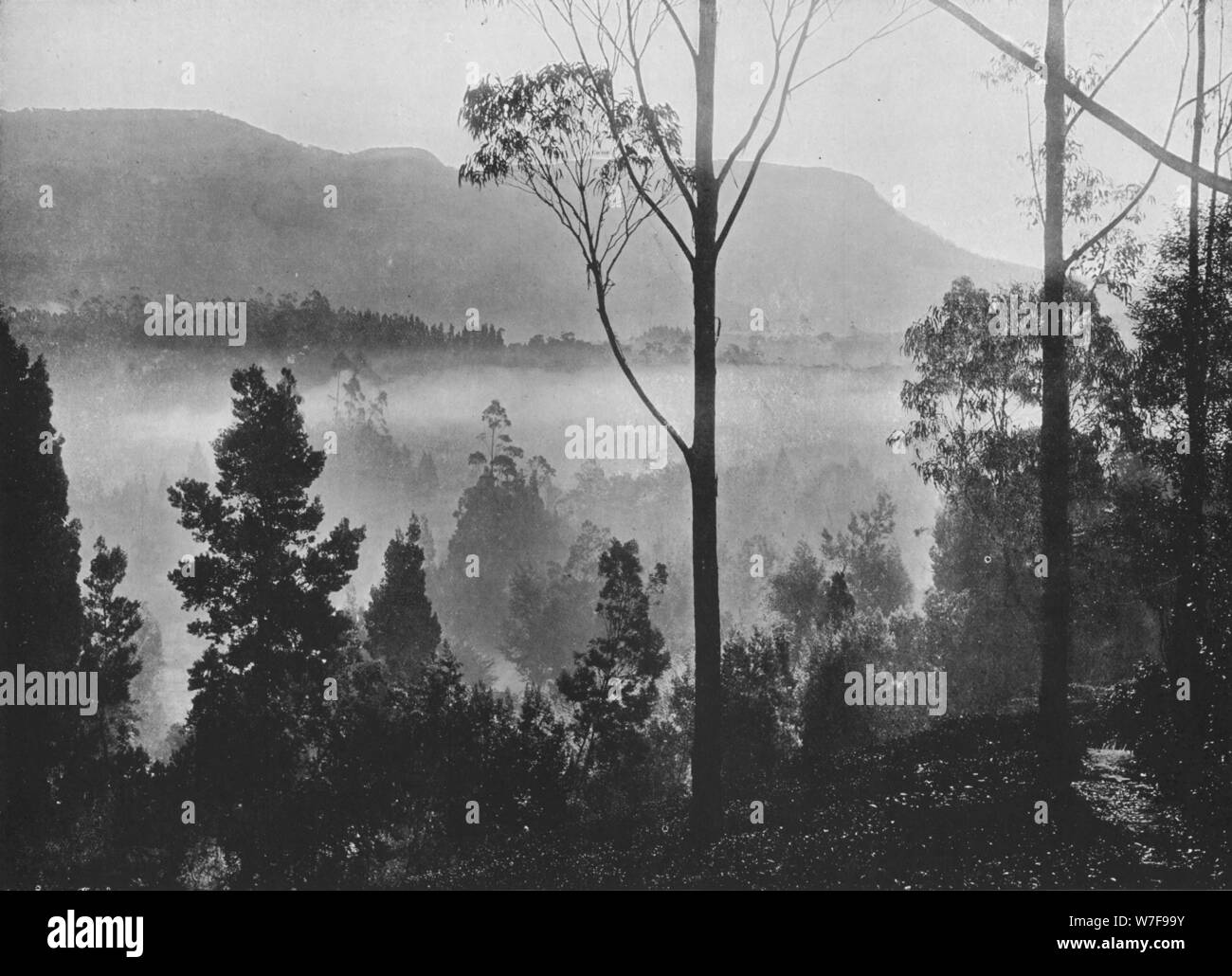 'The Early Morning Mist Rising at Nuwara Eliya', c1890, (1910). Artist ...
