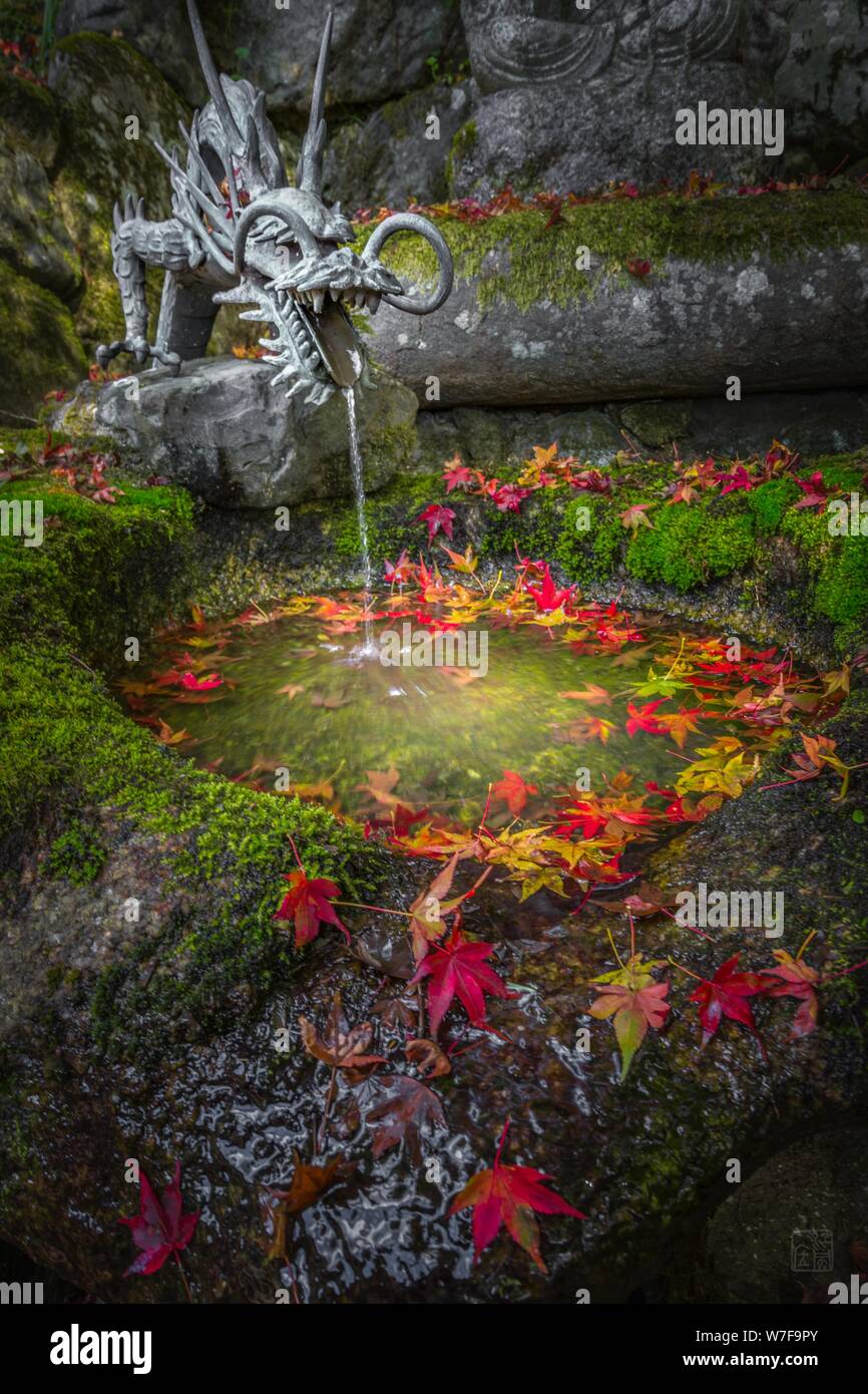 Japanese Dragon water fountain, Kyoto Stock Photo - Alamy
