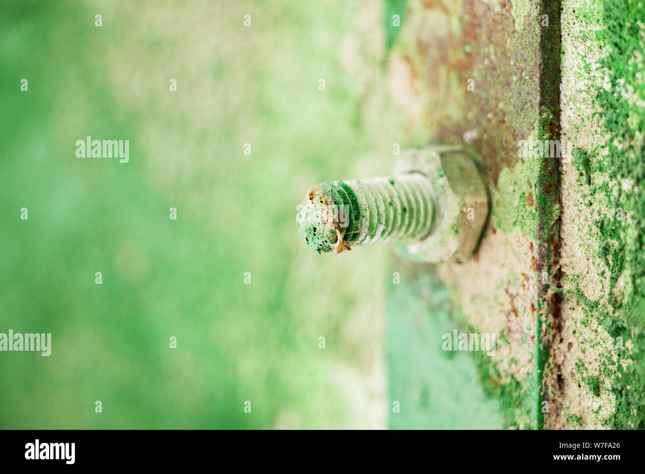 Old painted bolt and nut in a concrete green wall. metal mount to the ...