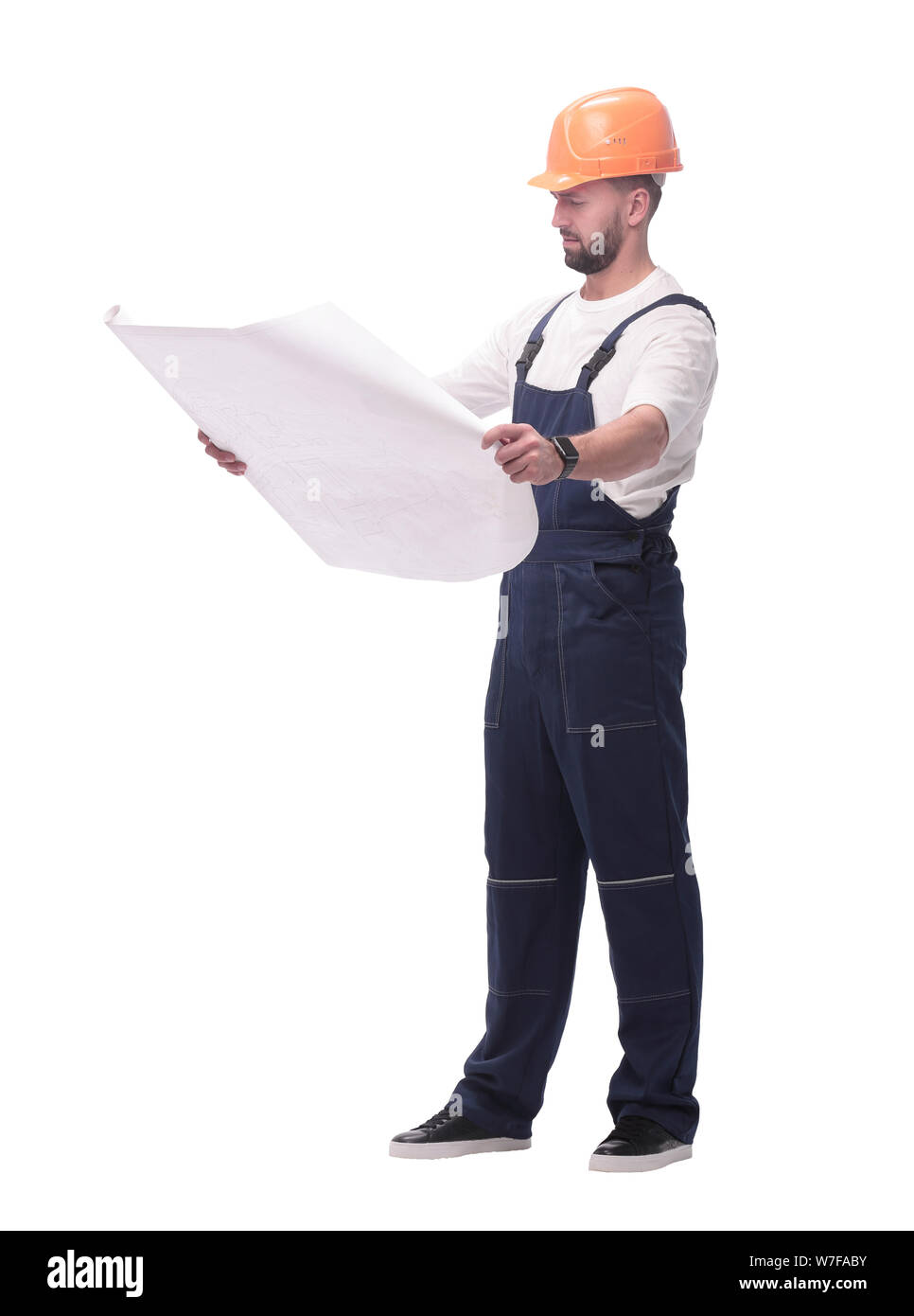 competent foreman Builder looking at drawings. isolated on white Stock ...