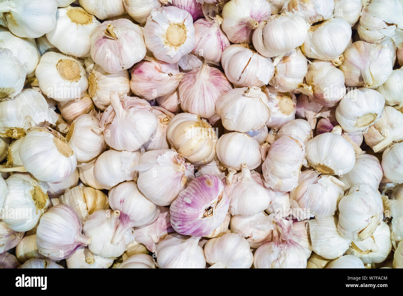 many of garlic in a tray in the store. texture. background Stock Photo ...