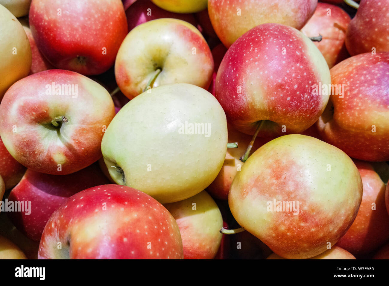 Lot yellow green apples hi-res stock photography and images - Alamy