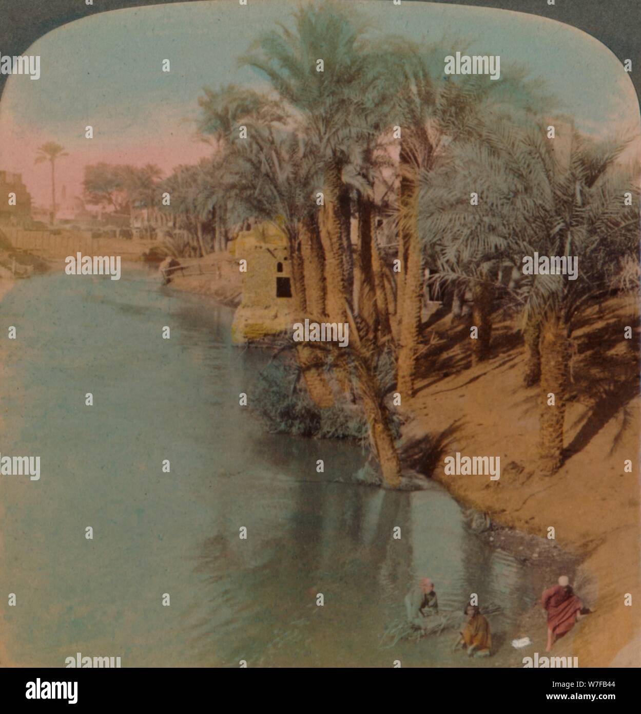 'In the Fayum, the richest Oasis in Egypt on Bahr Yussef (River Joseph ...