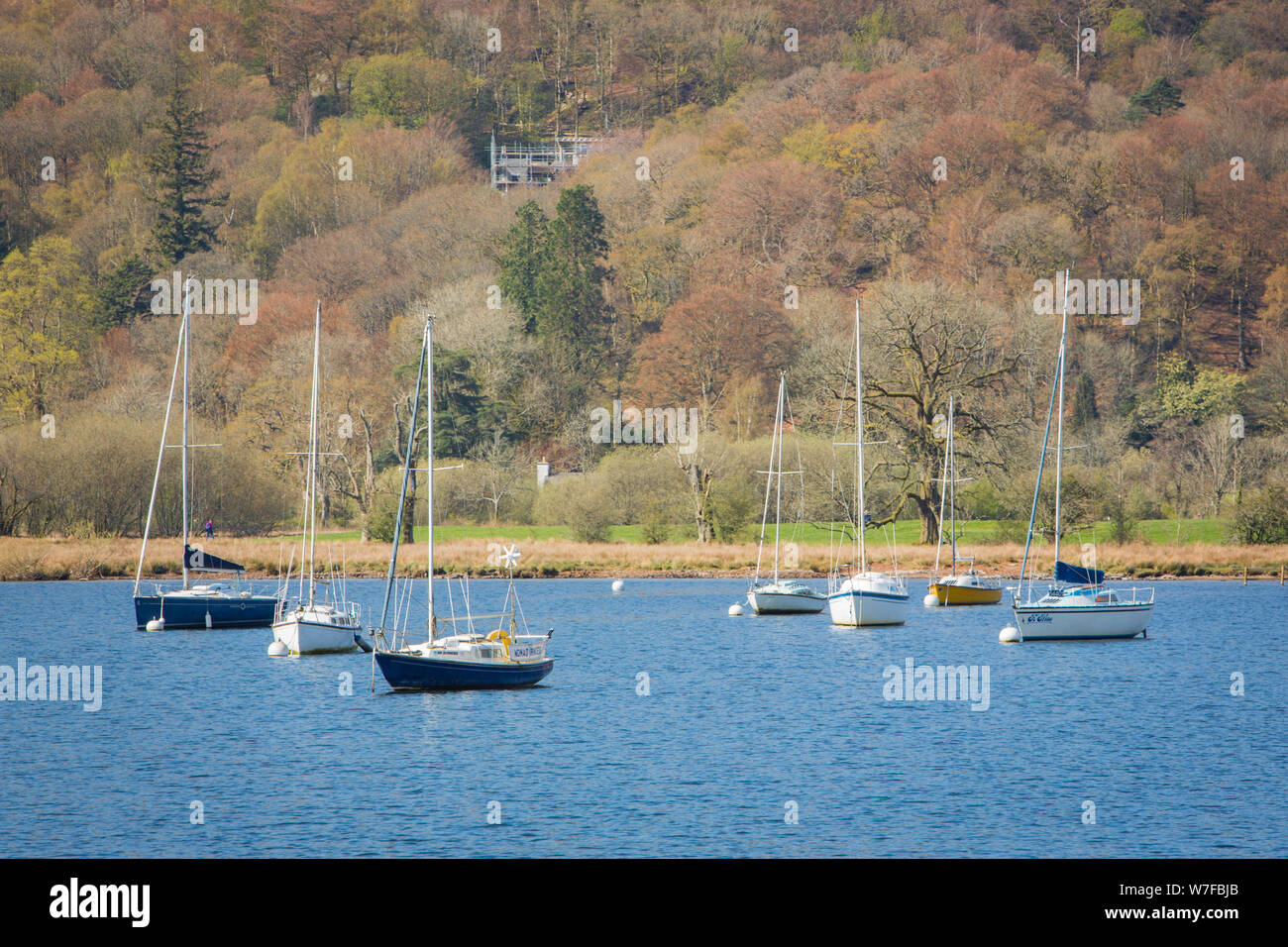 Sail boats on Windermere, Lake District, Cumbria, UK Stock Photo - Alamy
