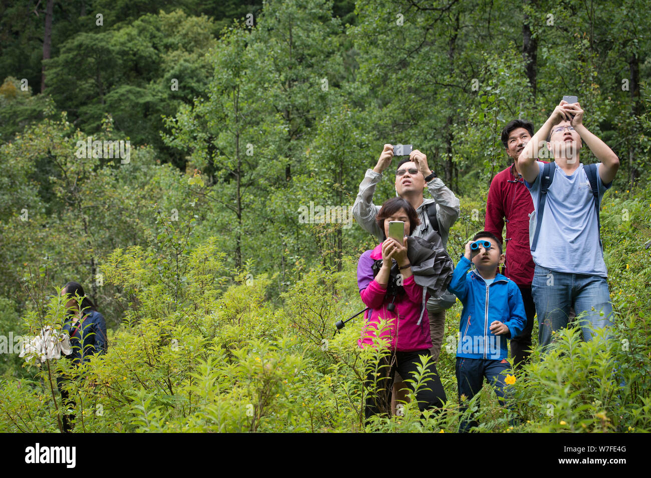 --FILE--Tourists take photos of golden monkeys at the Yunnan snub-nosed ...