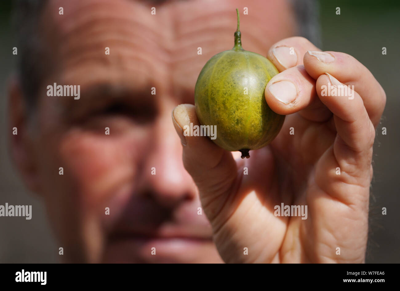 Graeme watson hi-res stock photography and images - Alamy