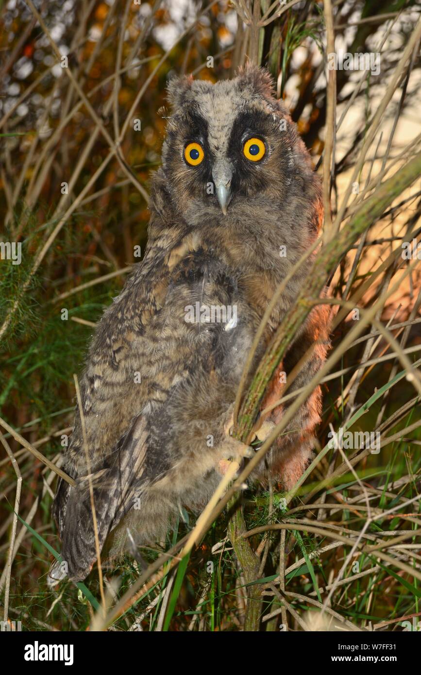 Jeune young hi-res stock photography and images - Alamy