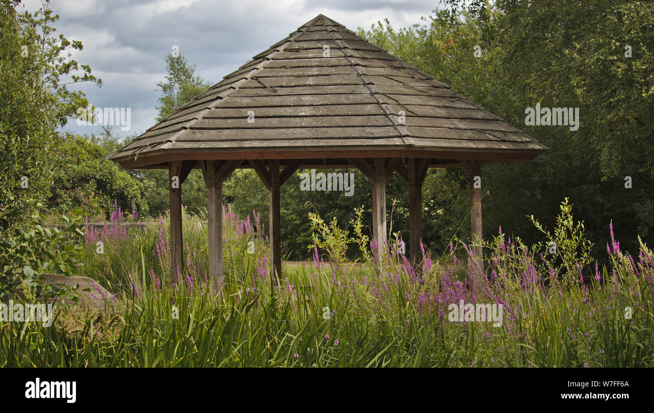 London WWT Wetland Centre animals Stock Photo - Alamy