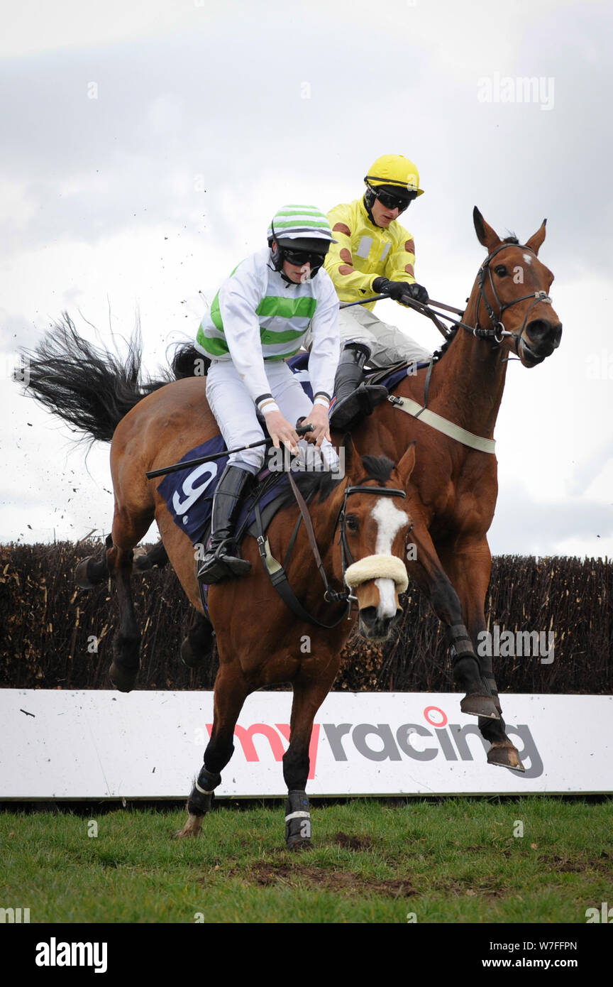 Ben jones horse hi-res stock photography and images - Alamy