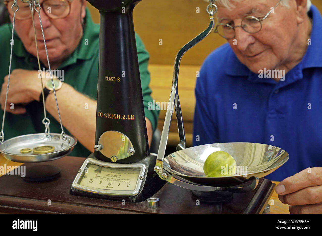 Judges weigh the gooseberry submitted by Graeme Watson, 59, from ...