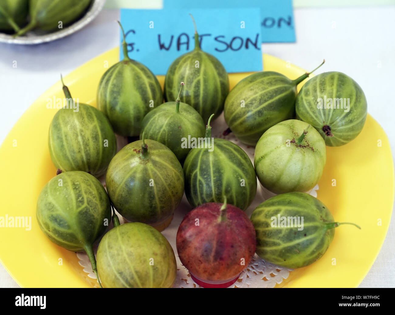 Gooseberry Show Egton High Resolution Stock Photography and Images - Alamy