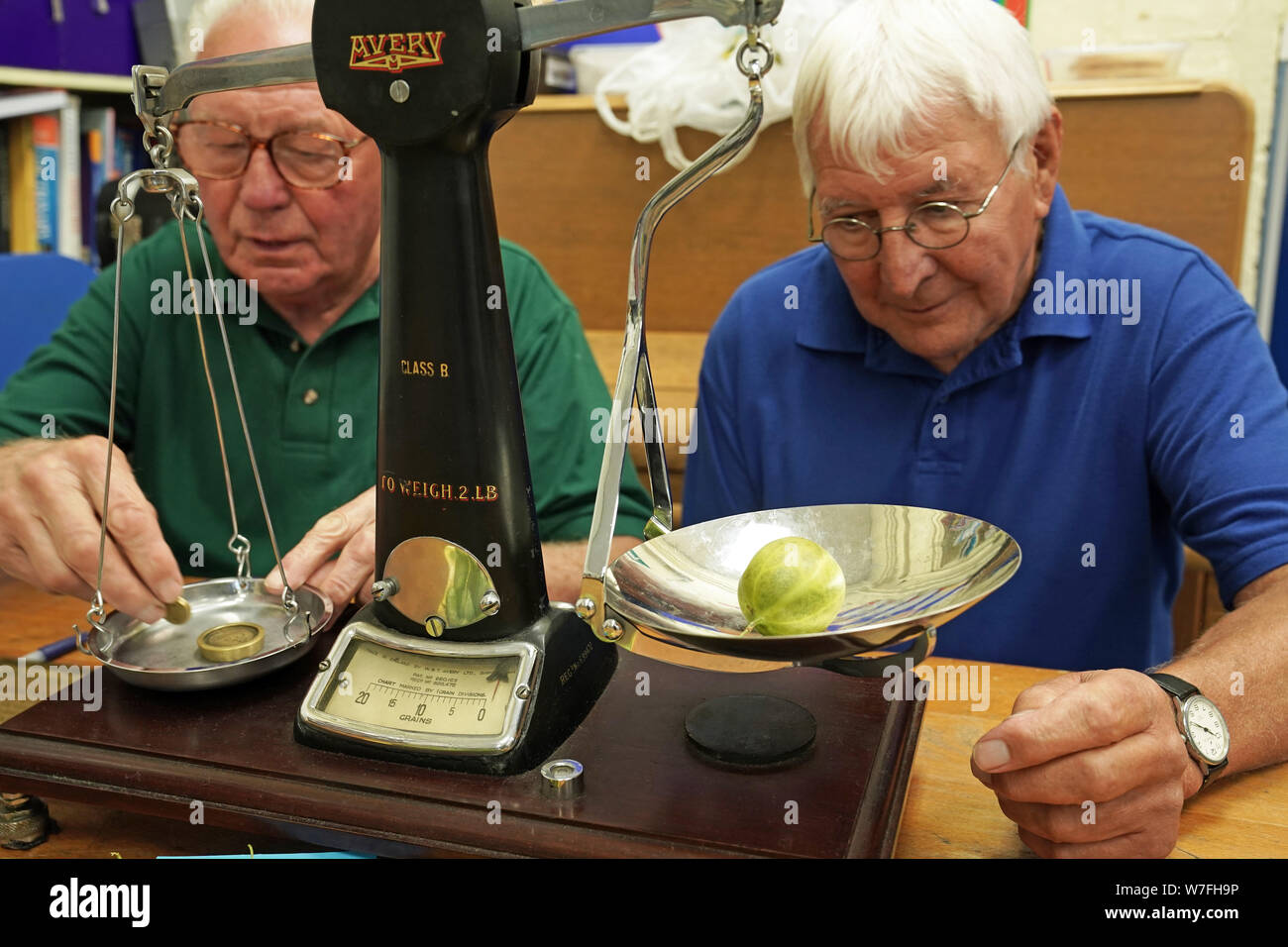Judges weigh the gooseberry submitted by Graeme Watson, 59, from ...