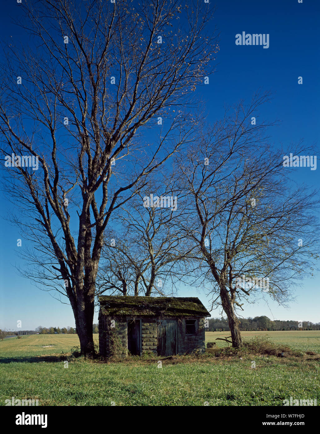 Abandoned shack in rural North Carolina Stock Photo - Alamy