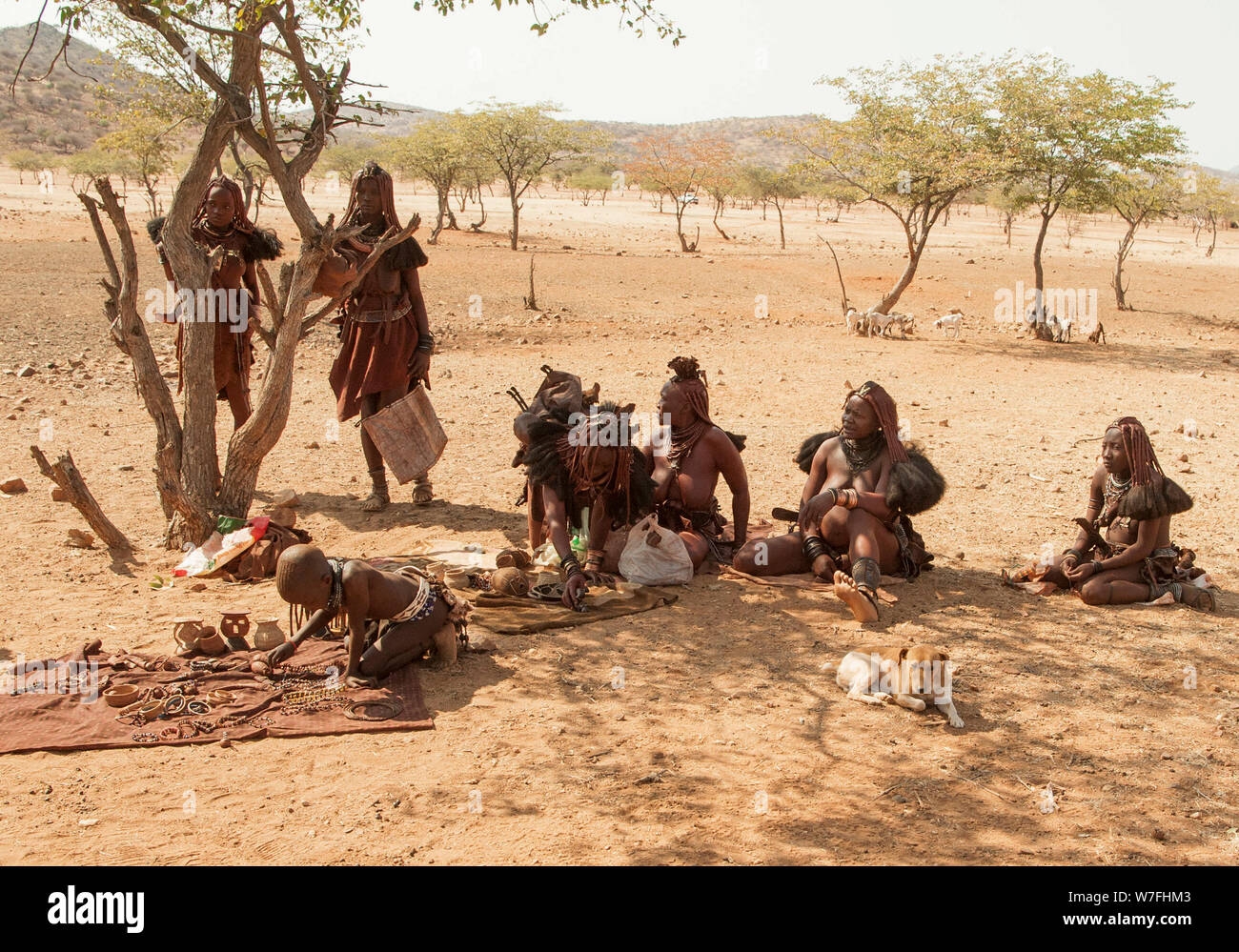 Himba tribe village, Kaokoveld, Namibia, Africa Stock Photo - Alamy