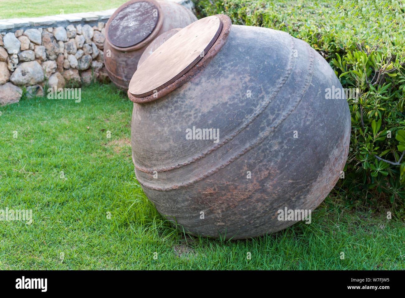 Large olive oil barrels and olive trees. Greek clay barrels for olive ...