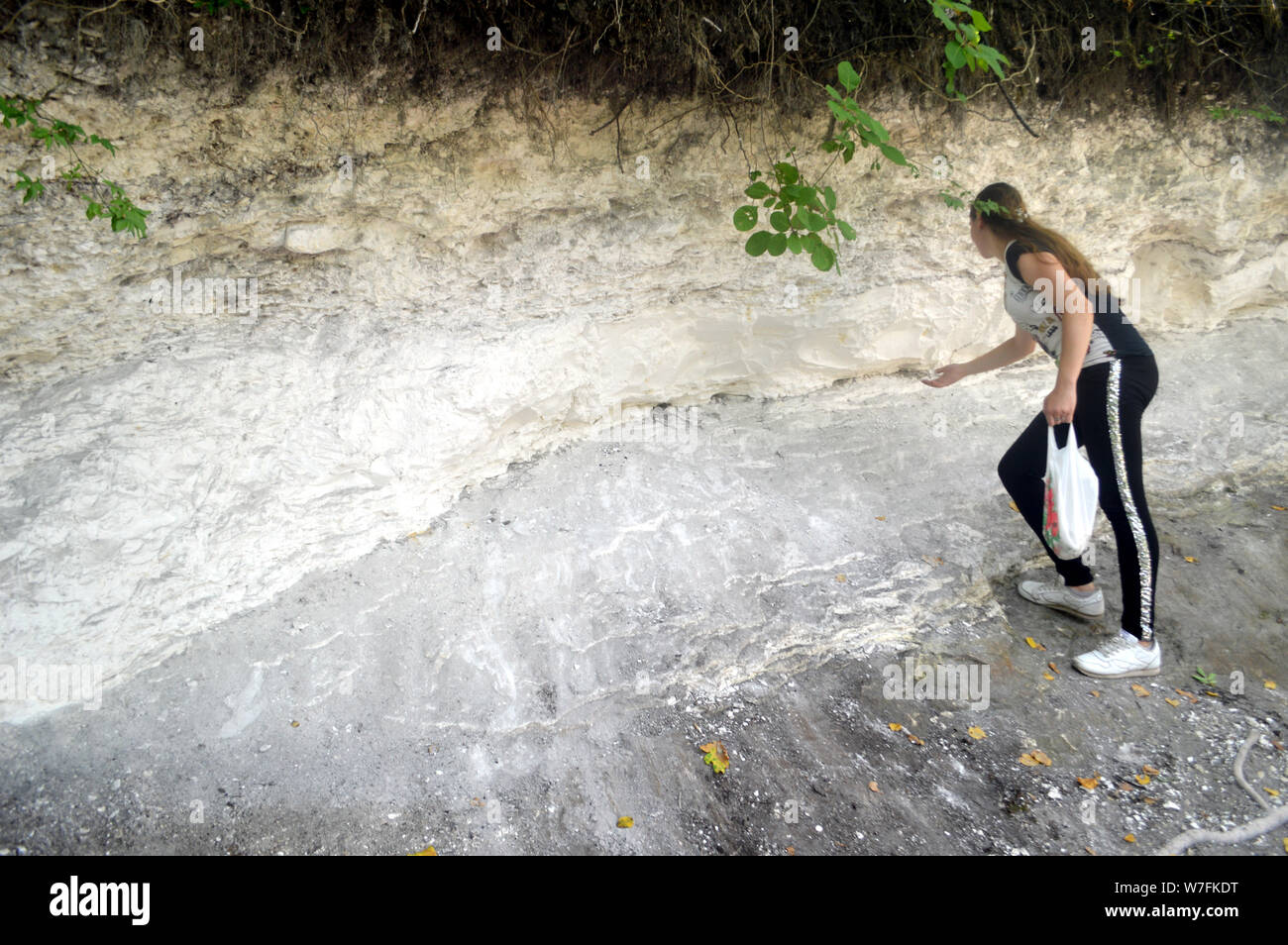 Layer or landscape with deposits of chalk. Cretaceous quarry. Landscape ...