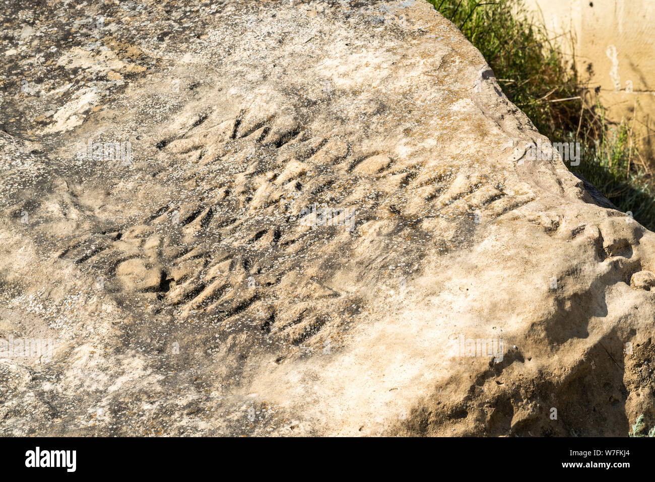 Latin Inscription On Roman Stone High Resolution Stock Photography and ...