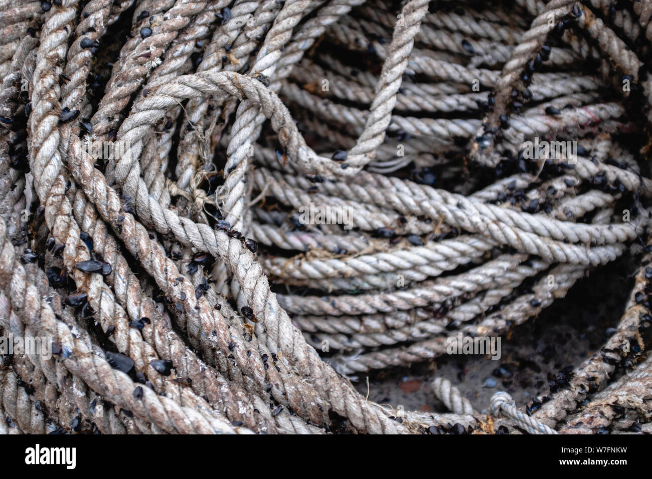 A shot of old ropes on a dock Stock Photo - Alamy
