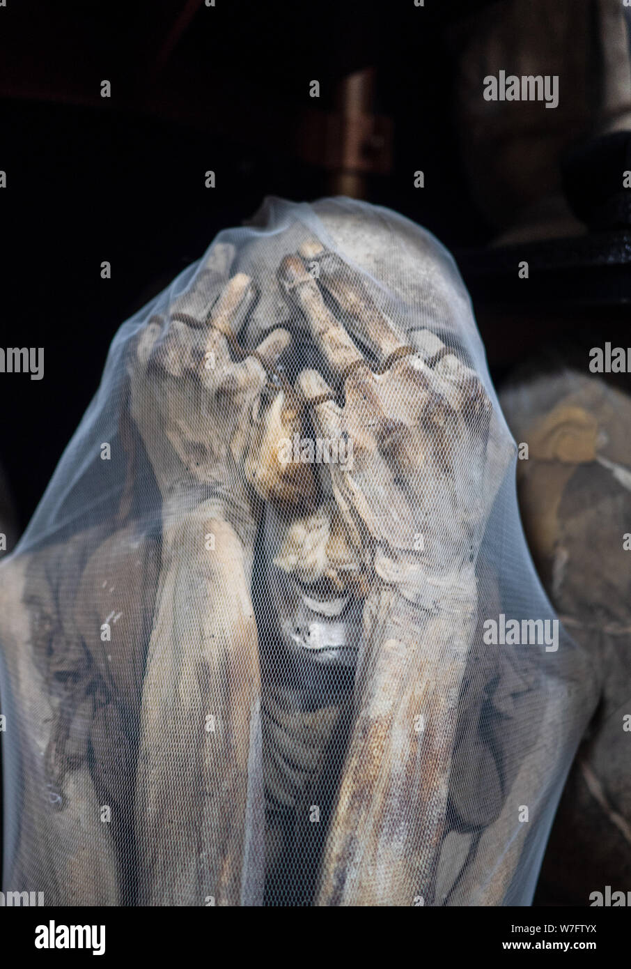 Peruvian mummies hi-res stock photography and images - Alamy