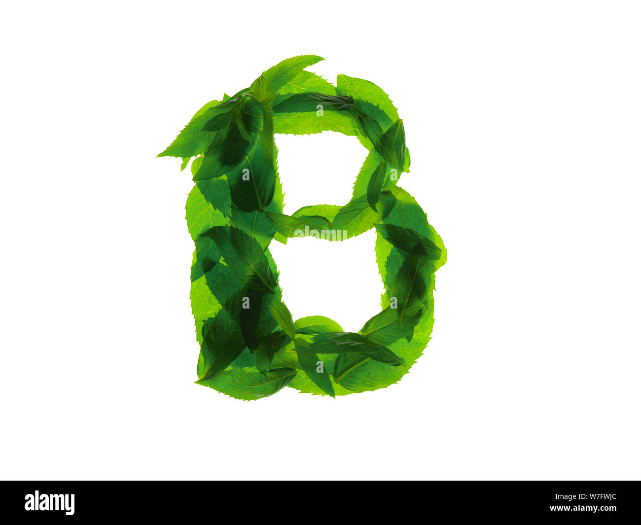 Letter b botanical logo hi-res stock photography and images - Alamy