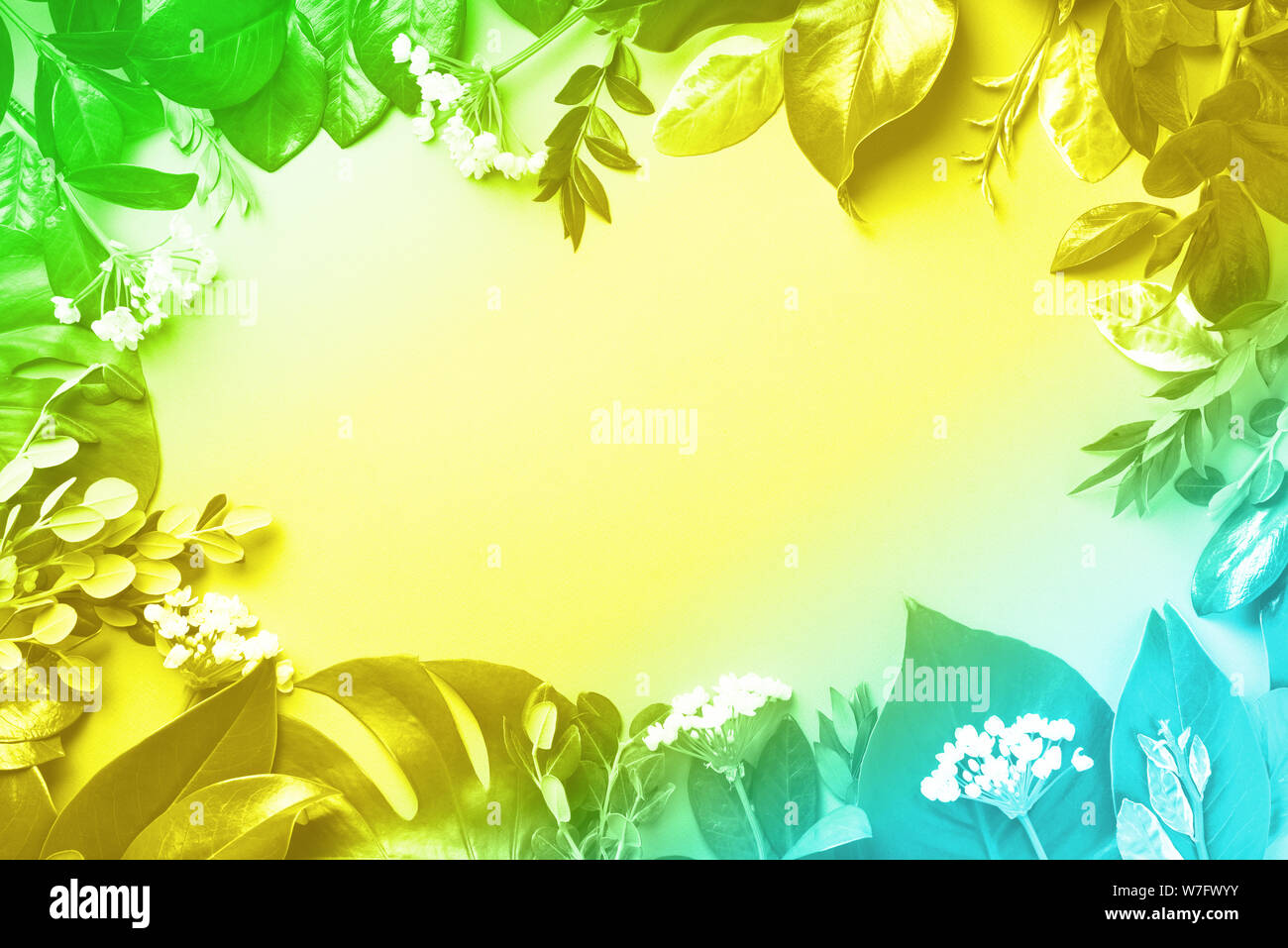 Neon Colors Layouts