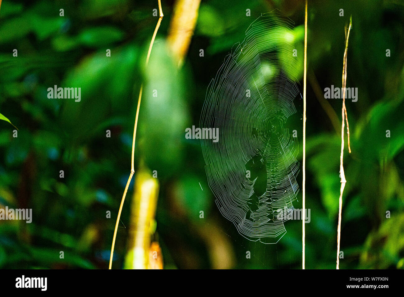 Central spinner hi-res stock photography and images - Alamy