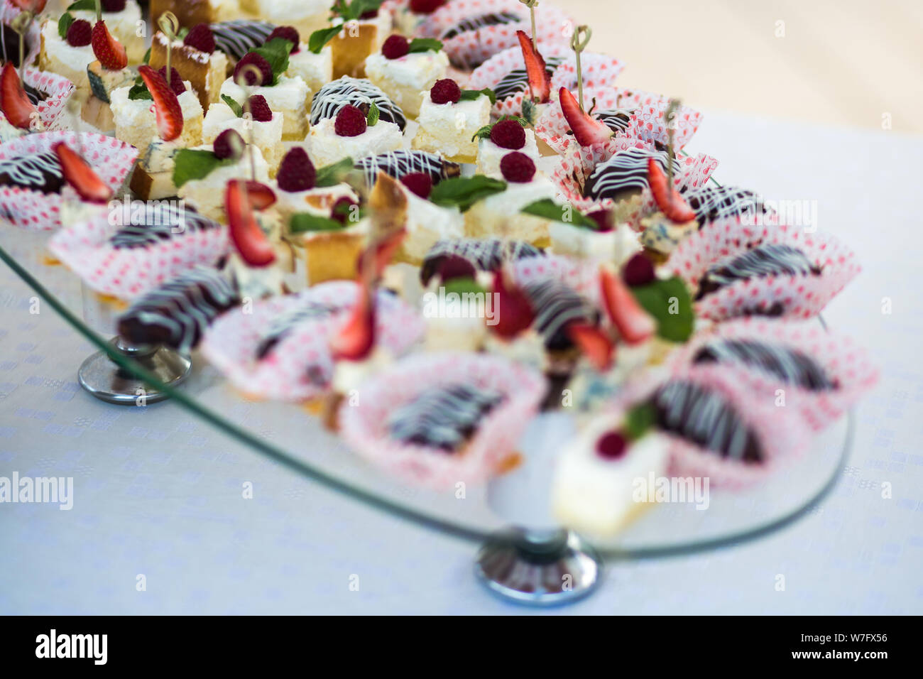 Snacks for a wedding party and birthday. Festive table of canapes Stock ...