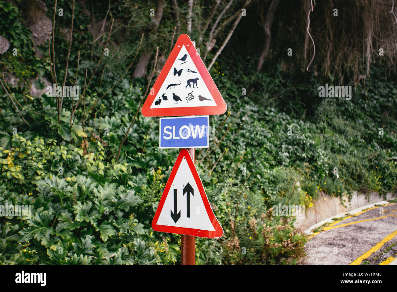 Red road signs above and below blue SLOW sign Stock Photo - Alamy