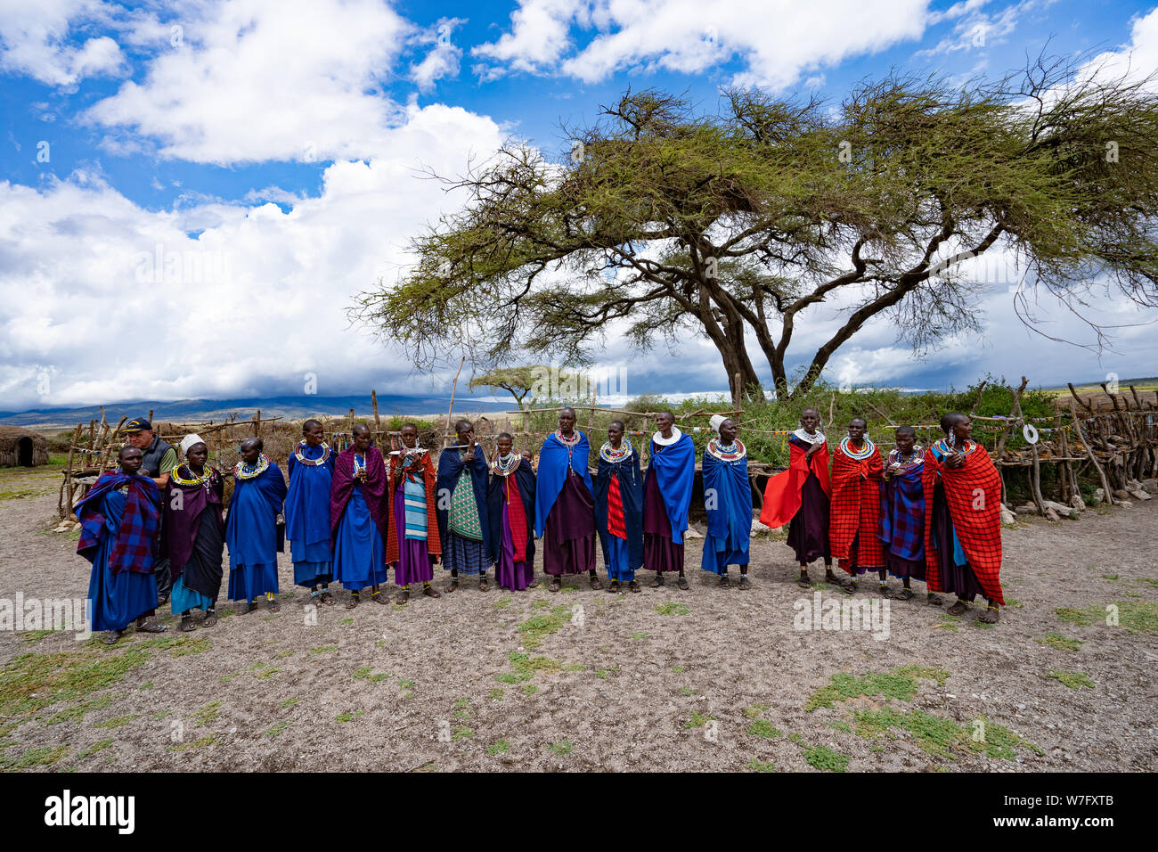 Traditional Masai Jumping Dance at a Masai Village, Tanzania, East ...