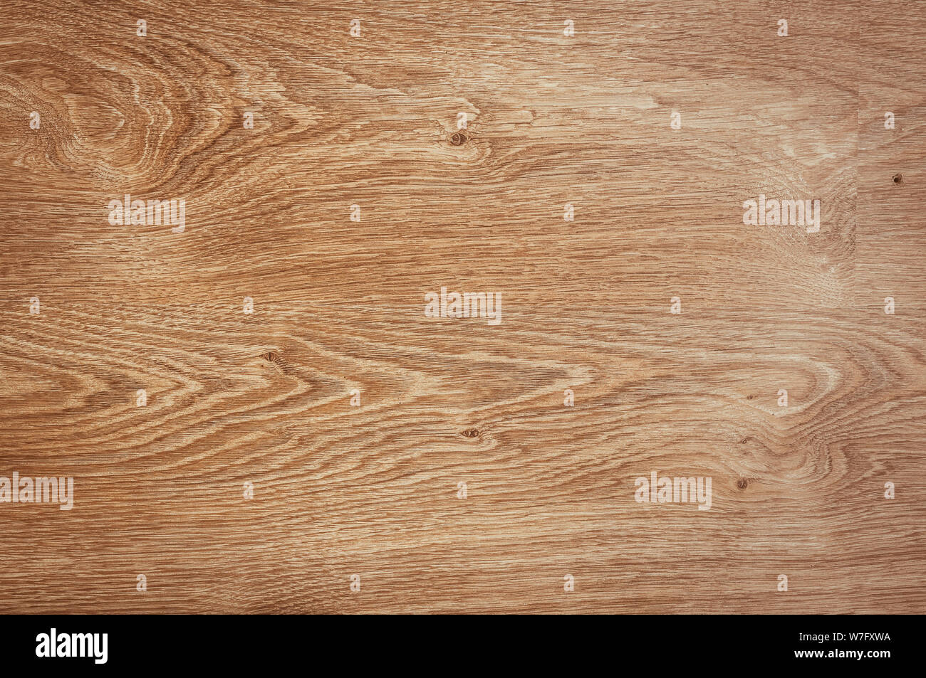 Wood texture. Wood texture for design and decoration Stock Photo - Alamy