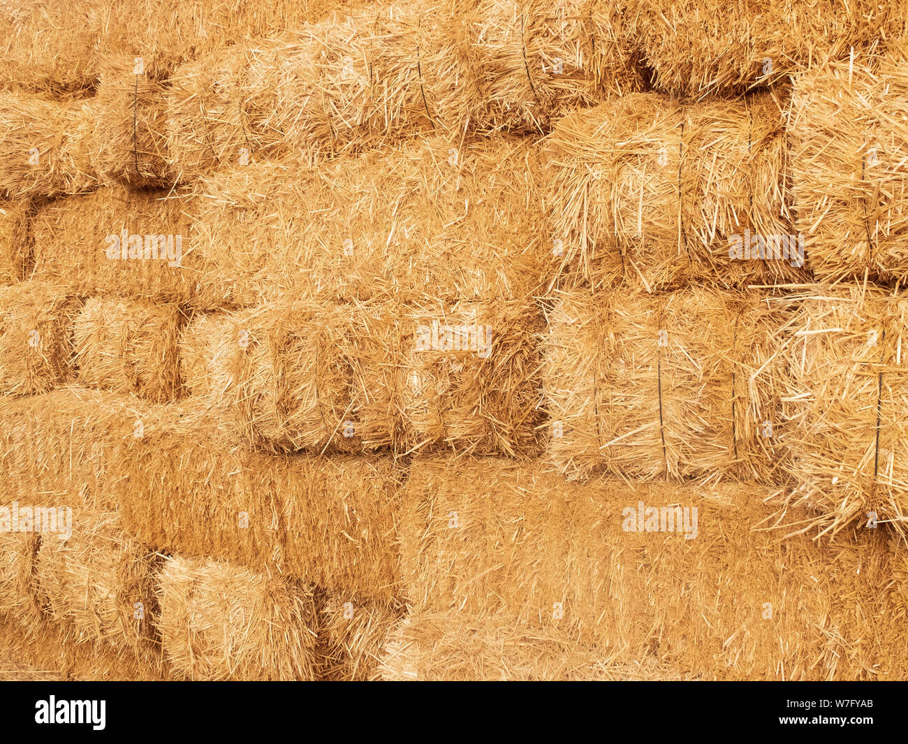 Stacks of dry straw. Piled straw haystacks. Natural dry straw texture ...