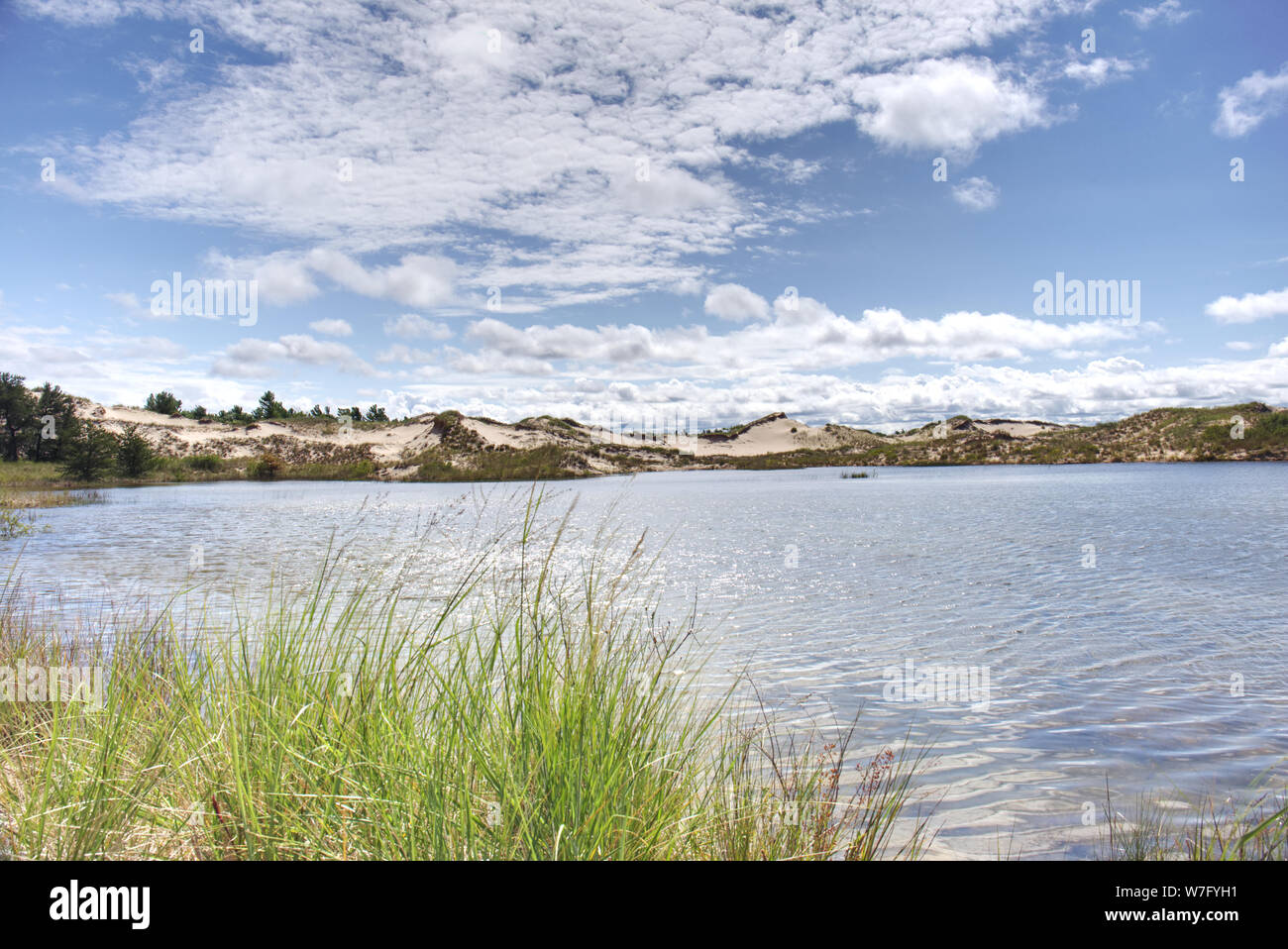 Vegetated dunes hi-res stock photography and images - Alamy