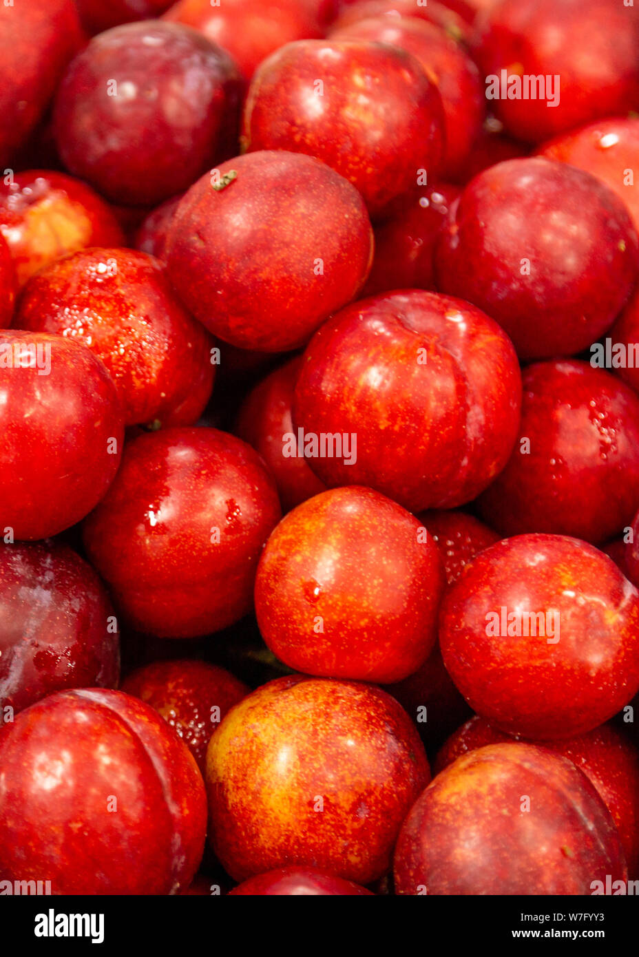 Blue and red plums hi-res stock photography and images - Alamy