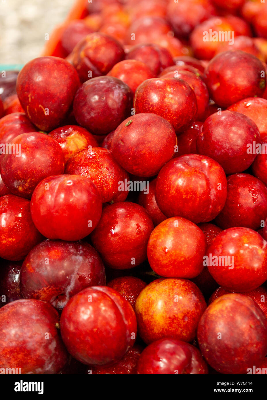 Box of fresh red plums, closeup Stock Photo - Alamy