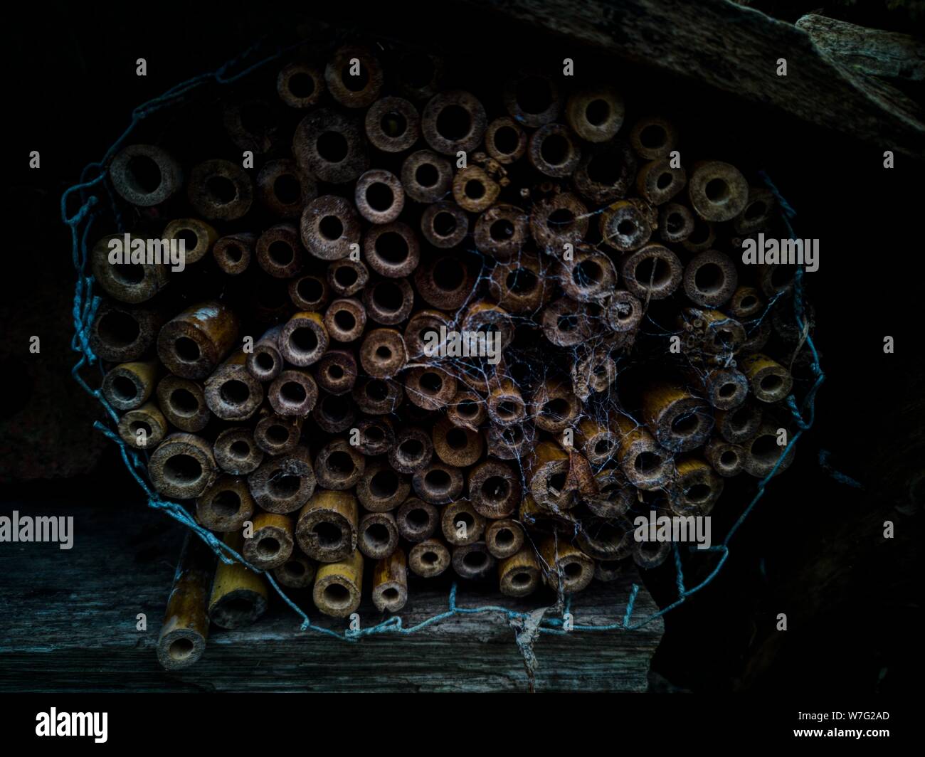 Man made insect habitat hi-res stock photography and images - Alamy