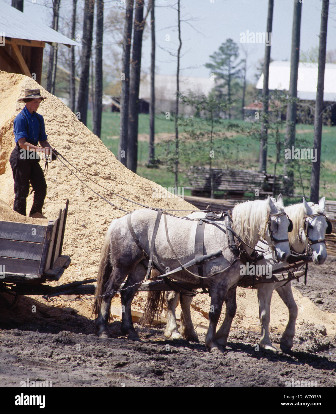 Amish farm scene in Pennsylvania Stock Photo - Alamy